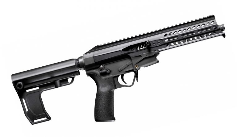 Un ribelle in calibro .22 - Armi e Tiro