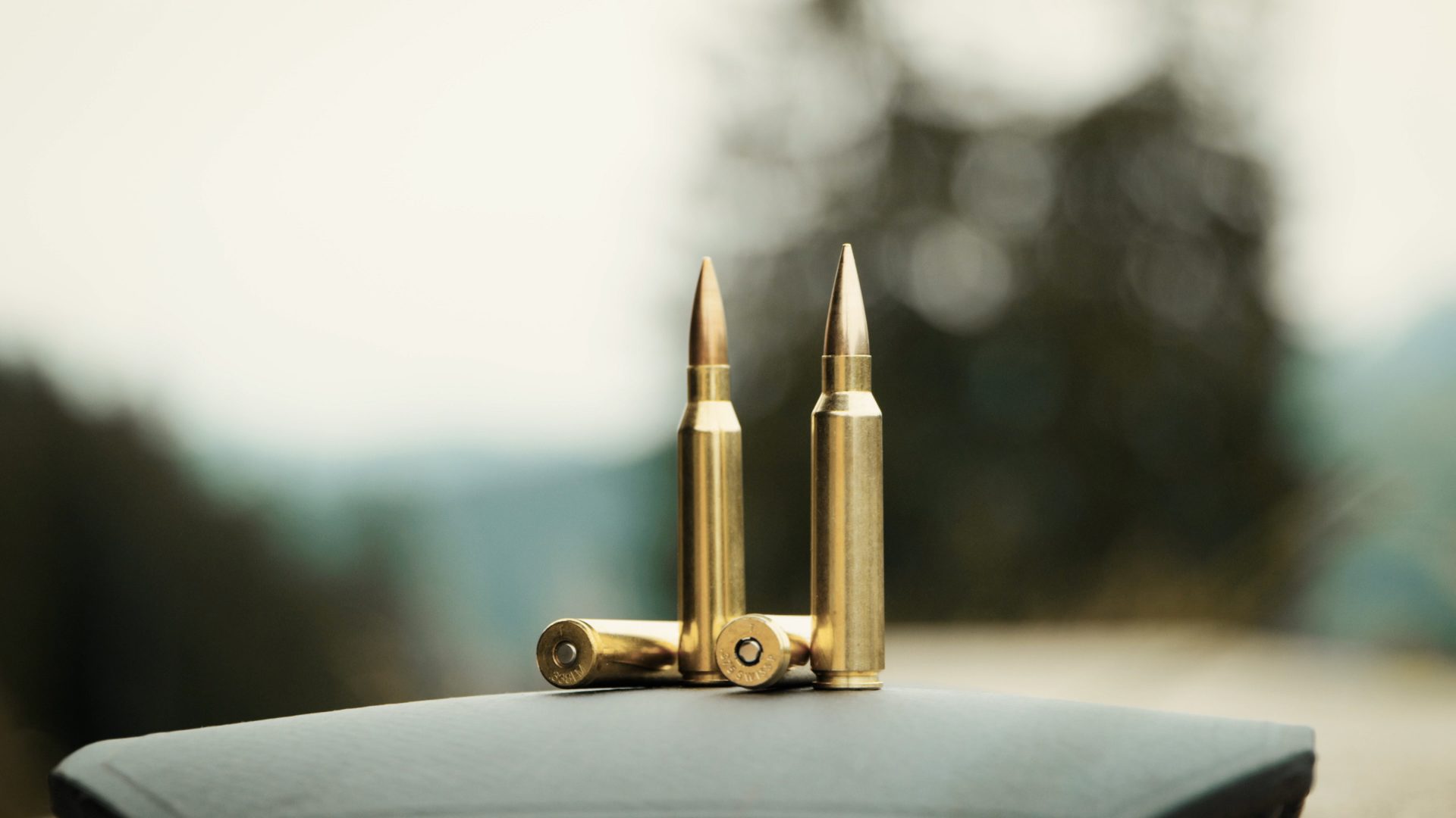 Debutta il .375 Swiss P, il nuovo calibro sniper long range - Armi e Tiro