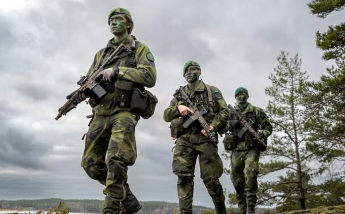 Svezia: Ak 24 sottoposti a verifica - Armi e Tiro